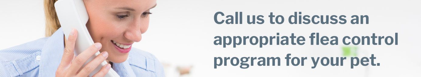 Flea Control | Doubleview Veterinary Centre